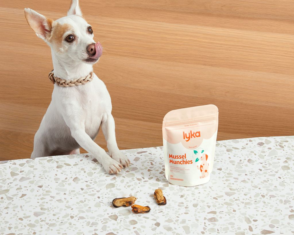 Australian-Made Healthy & Natural Dog Treats | Lyka Pet Food