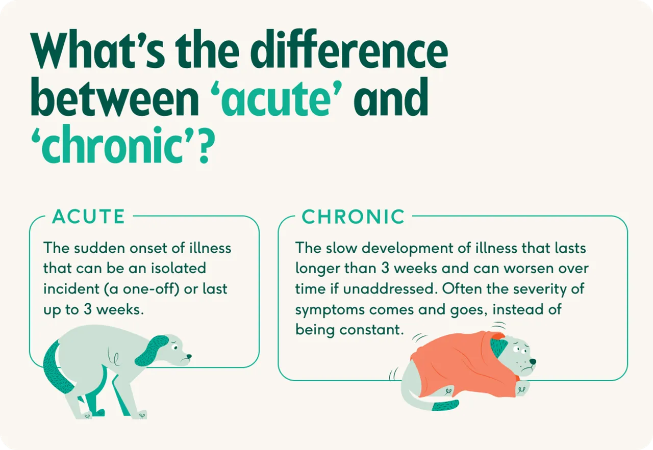 Sensitive stomachs in dogs: how to relieve your pup's discomfort | Lyka ...
