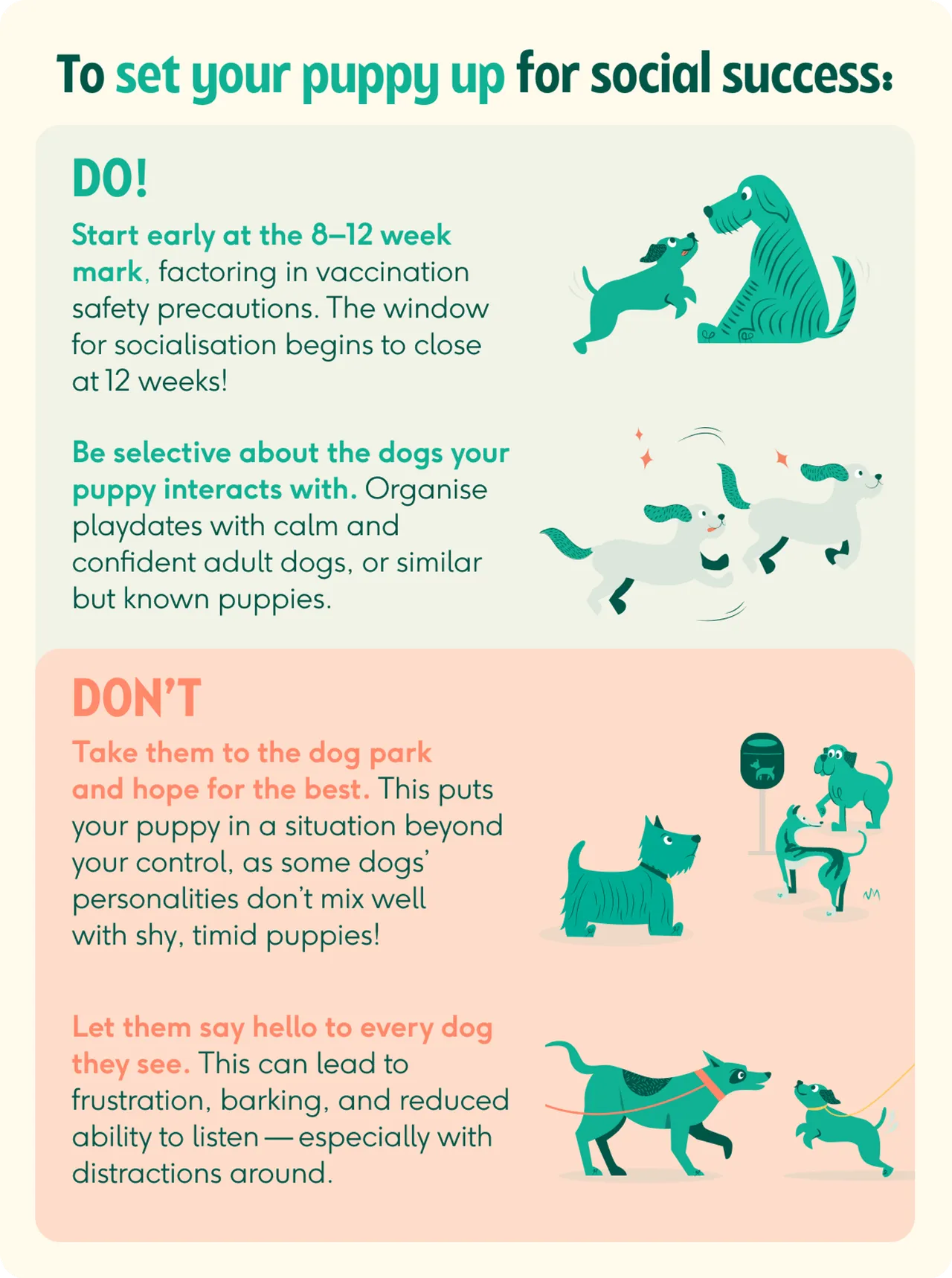 Force-free puppy training: what the experts want you to know | Lyka Blog