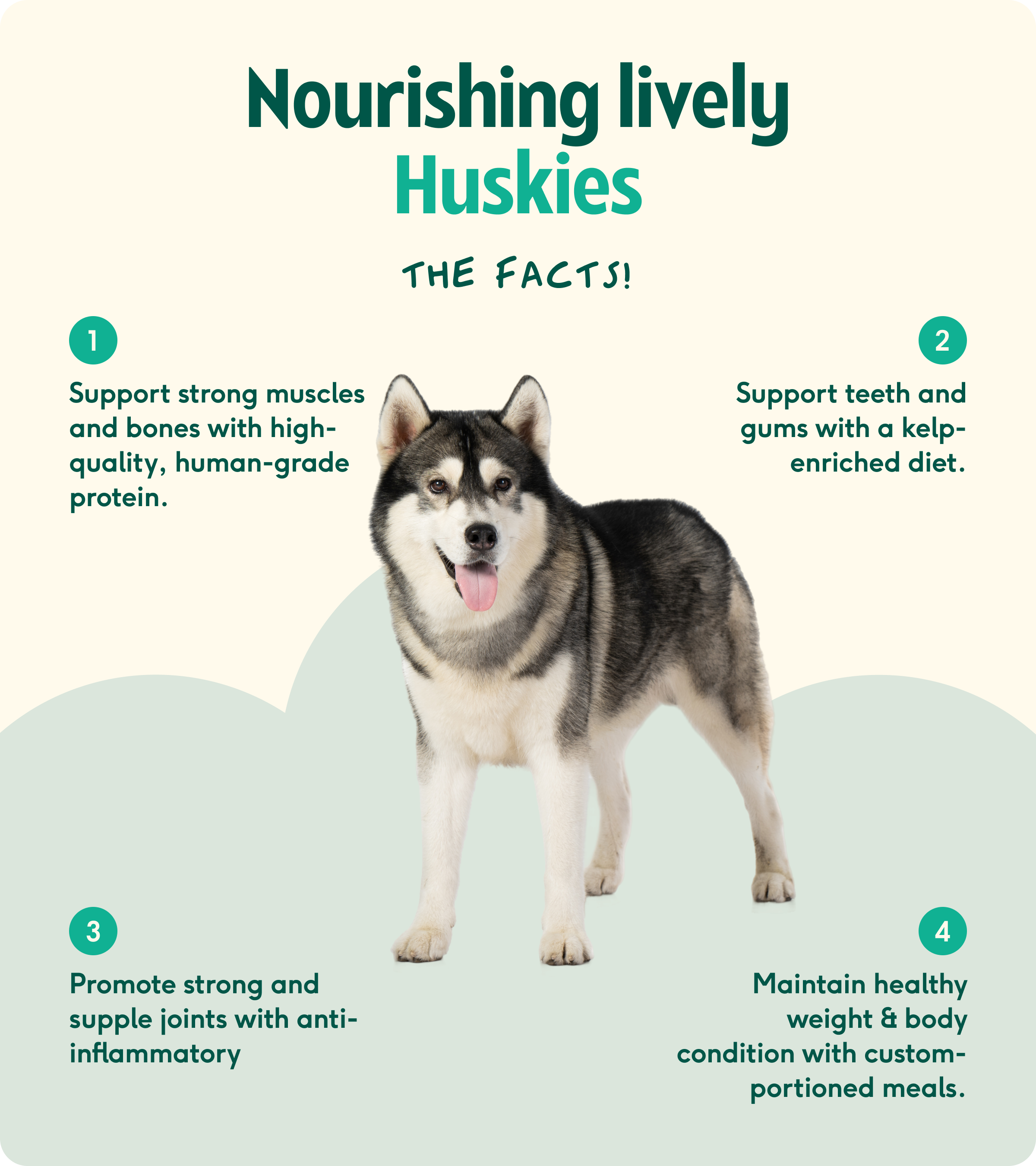 Siberian Husky Weight Chart