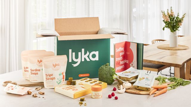 Keep Up-to-date With News From Lyka Pet Food | Lyka Blog