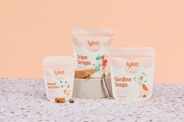 Top tips for feeding treats — which to choose and which to avoid | Lyka Blog