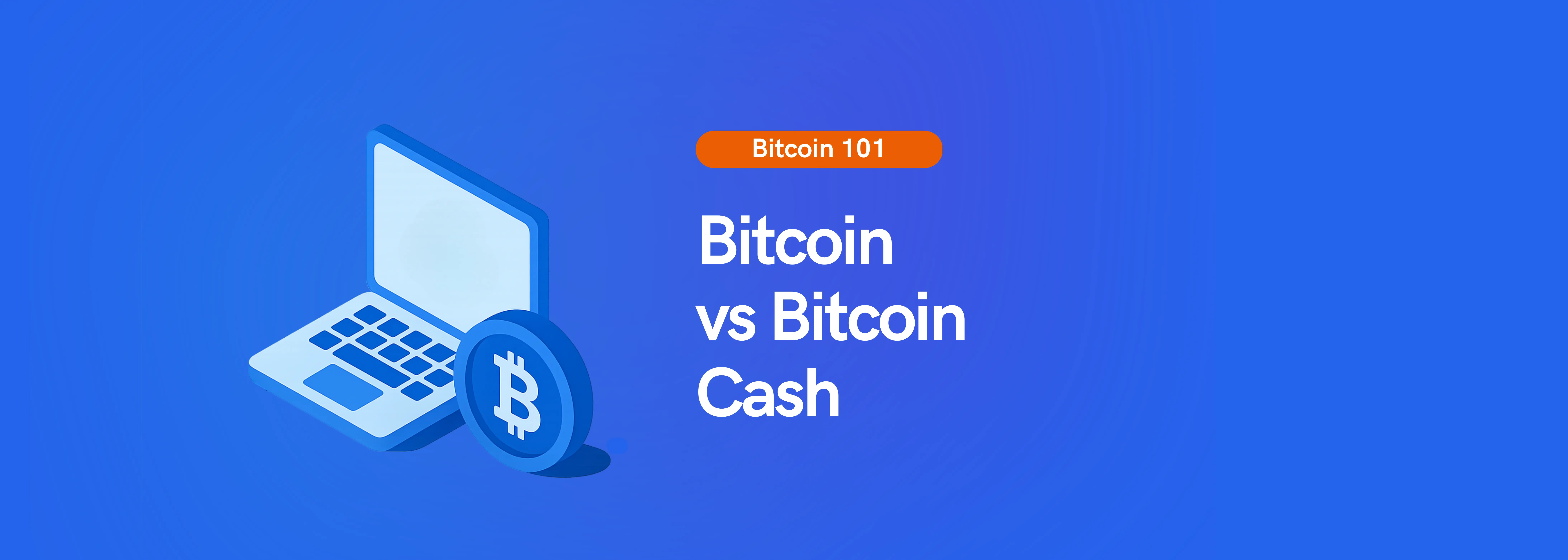Bitcoin vs Bitcoin Cash: Which is the Better Investment? | Koinly