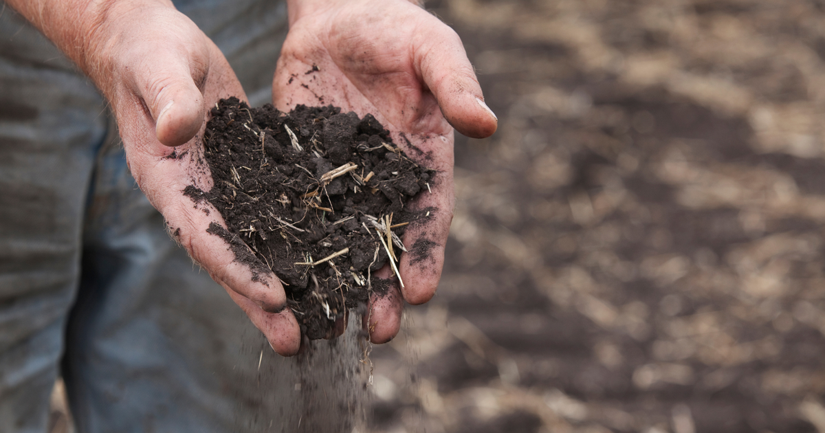 Applying humalite for enhancing crop production and improving soil health