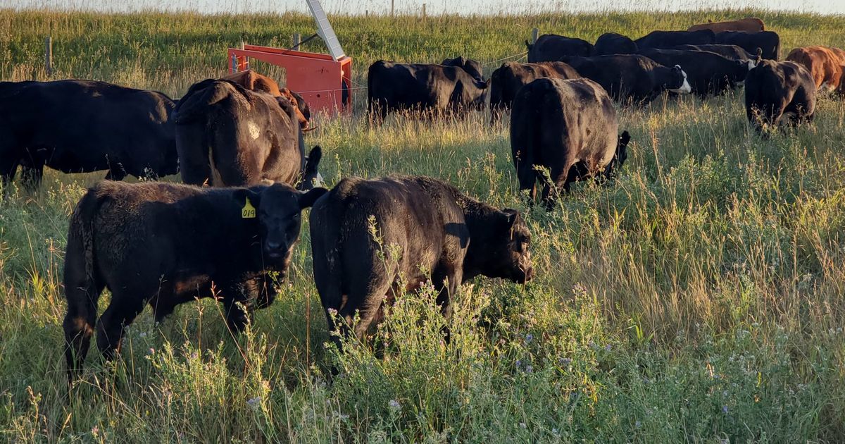 A comprehensive sequencing and bioinformatics analysis pipeline for BRD ...