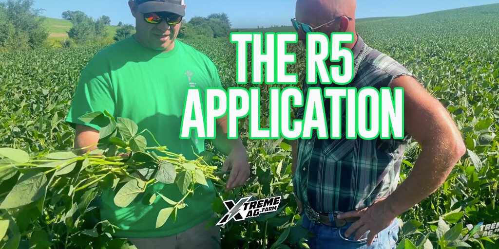 Pushing Soybean Yields Higher: Sugar Mover from Stoller