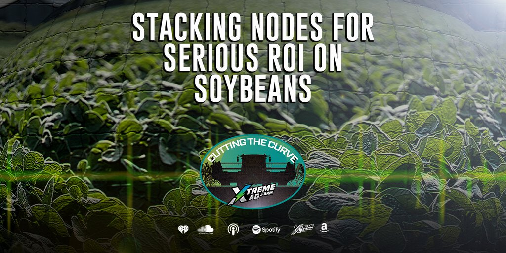 Soybean Yield Maximization: The Node Stacking Strategy