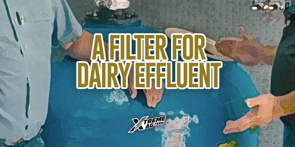 Dairy Effluent Filtration: Advancements in Drip Irrigation