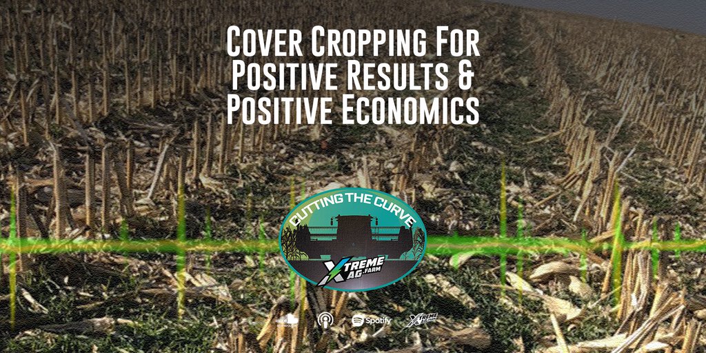 Maximizing Profit with Effective Cover Cropping Strategies