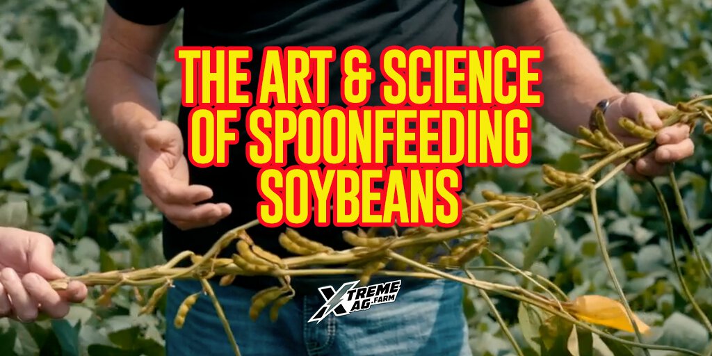 Boost Soybean Yield: Tips on Timely Nutrient Application