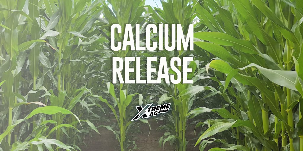 Boost Crop Yield: Unlock Soil Calcium with AgroLiquid