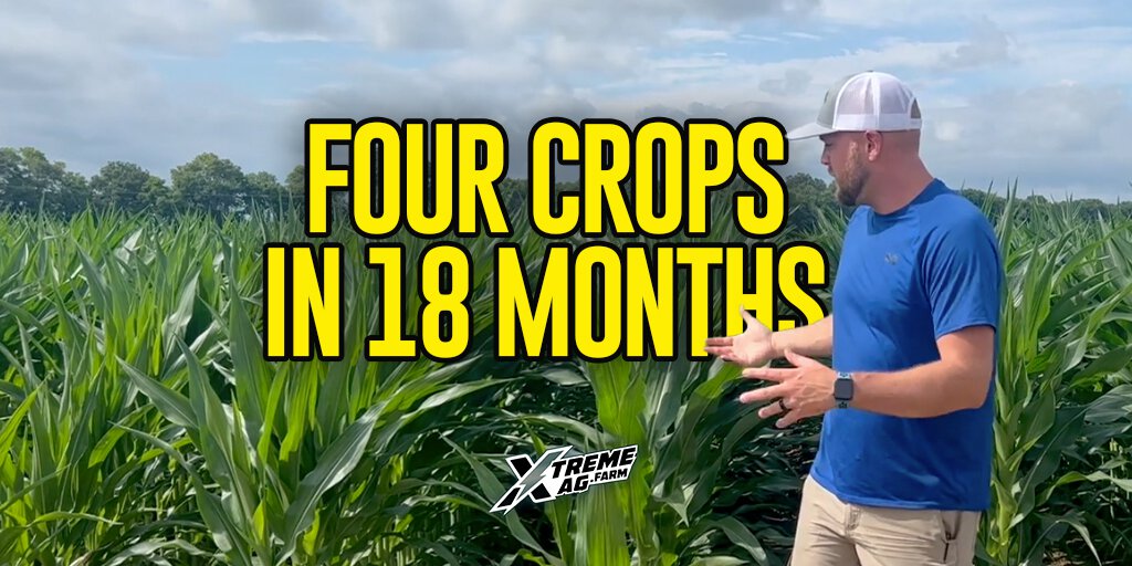 Double-Crop Corn: A First-Time Venture at Miles Farms