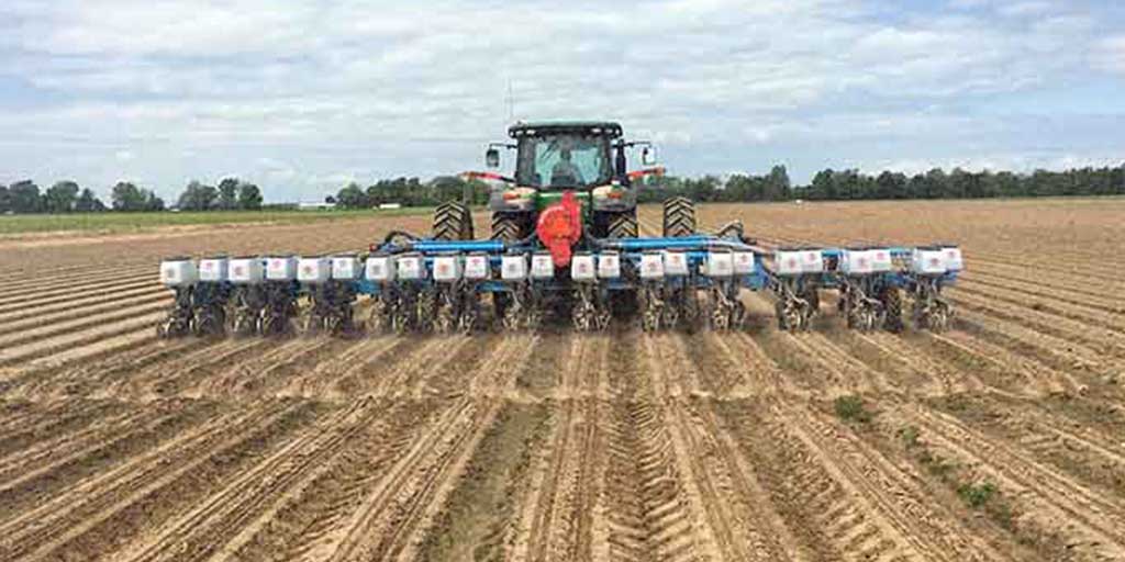 Mastering Plant Nutrition: The Art of 'Spoon Feeding'