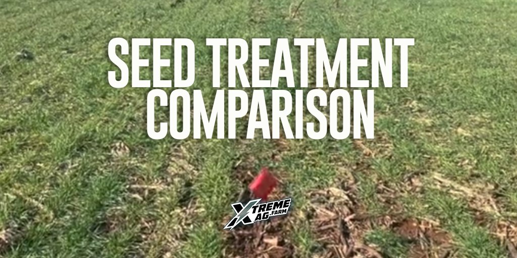 Mid-Season Wheat Crop Update: Spraytec Treated vs Untreated