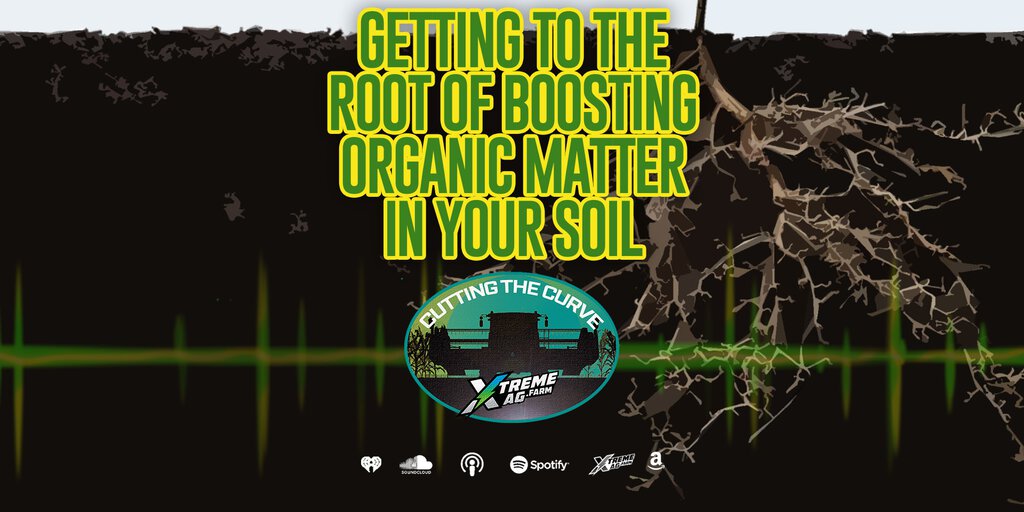 Boosting Soil's Organic Matter: The Root Approach