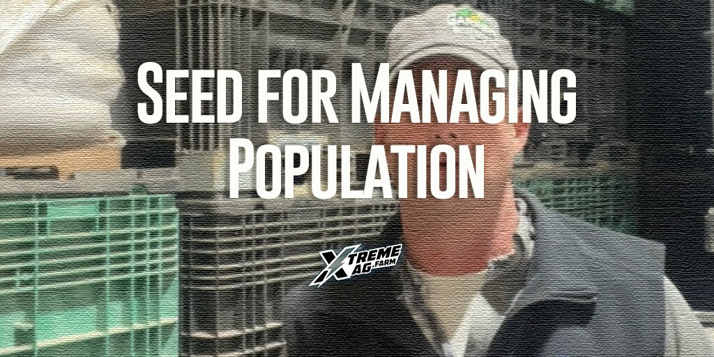 Boost Crop Yield: High Performing Integra Corn Varieties