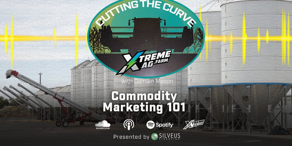 Grain Marketing Fundamentals: A Tutorial with Silveus Financial