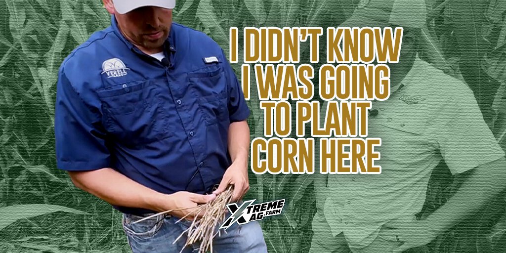 Double Crop Corn: Utilizing Wheat Stubble Nutrients