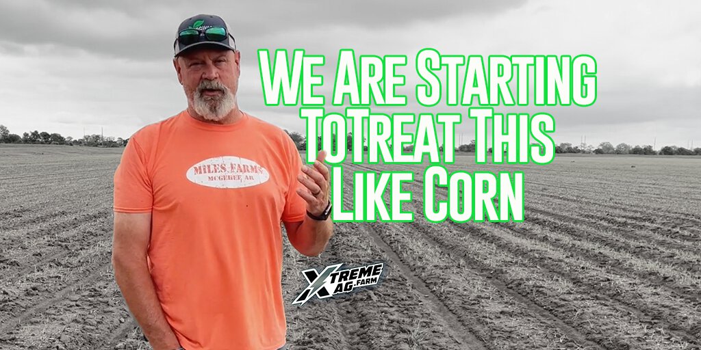 Innovative Micronutrient Application in Row Rice Farming