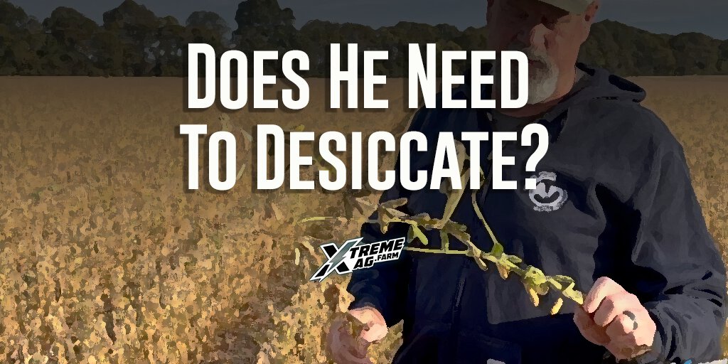 Deciding on Soybean Desiccation