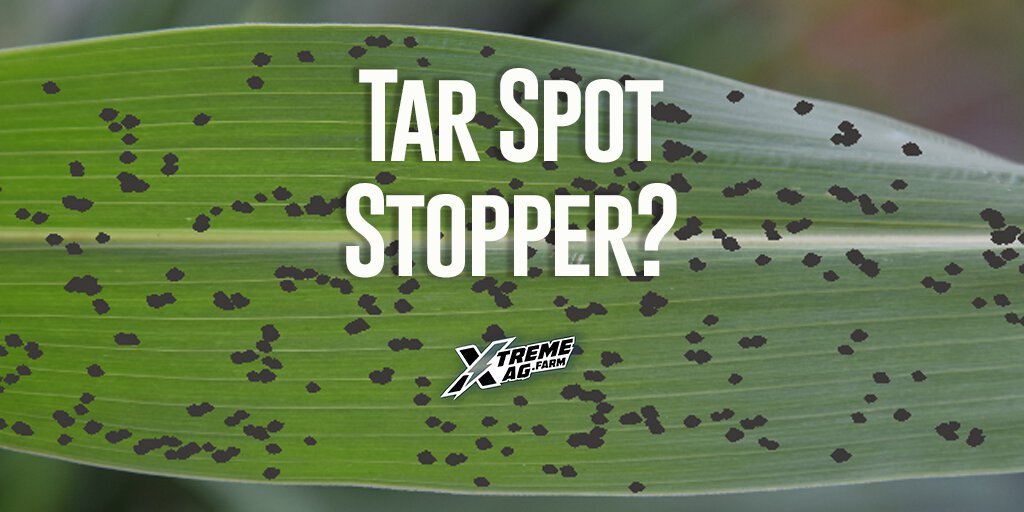 Fight Tar Spot: FMC's Triple-Action Corn Fungicide