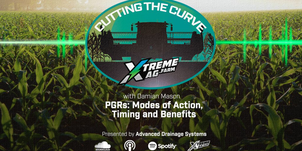 Enhancing Yield with PGRs: Understanding Action and Timing