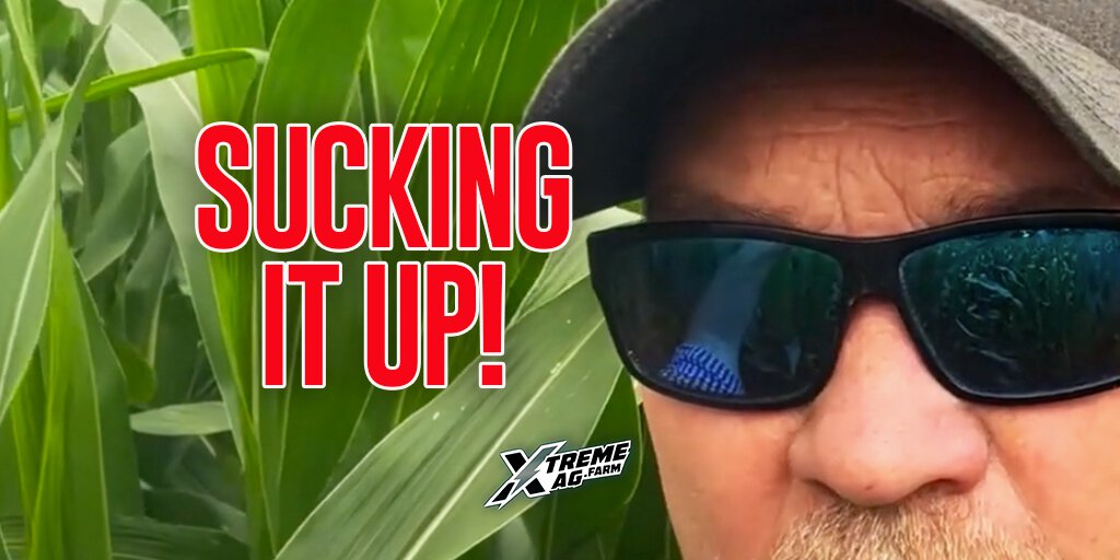 Revolutionary Dry Land Corn Trial Update by Stoller USA