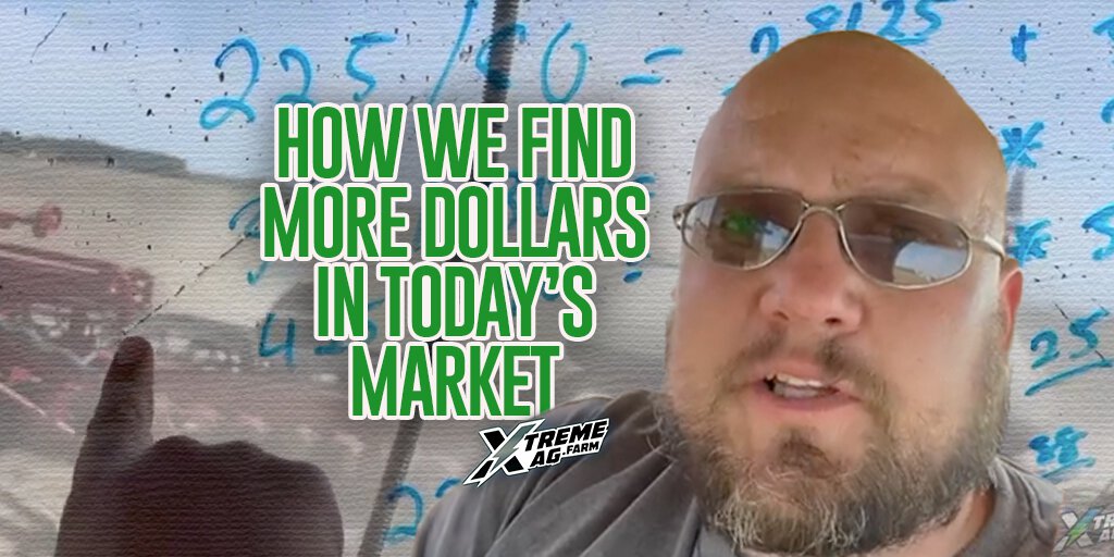 Unveiling Hidden Financial Opportunities in Farming