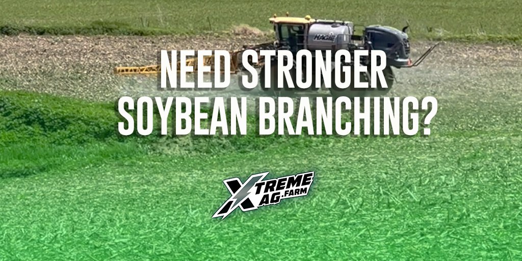 Strengthening Soybean Branches: Kelly Garrett's Innovative Approach