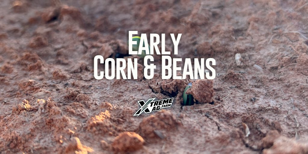 Early Planting: Unveiling Corn & Bean Secrets with Miles