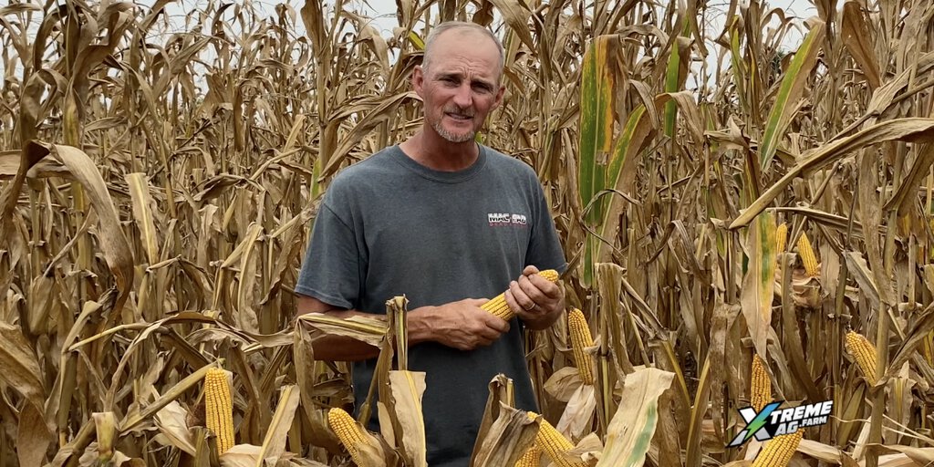 Business Park Corn: Chad's Research-Driven Farming Approach