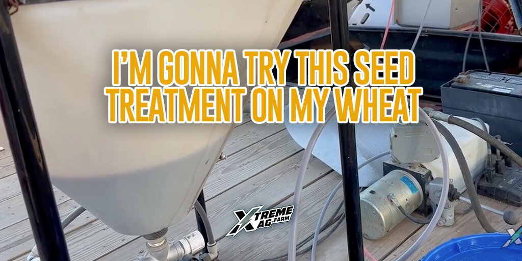 Wheat Seed Treatment: A Game-Changer on Lee's Farm?