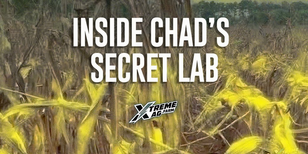 Chad's Experimental Lab: Learning Beyond the Classroom