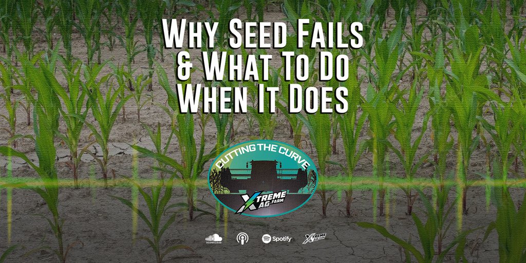 Addressing Challenges of Seed Failures in Corn