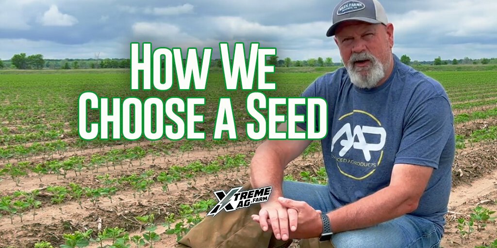Farming Success: Perfect Seed Selection at Miles Farms