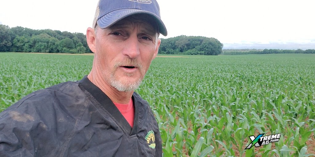 Testing EMERGEN : Chad's Corn Plot Experiment