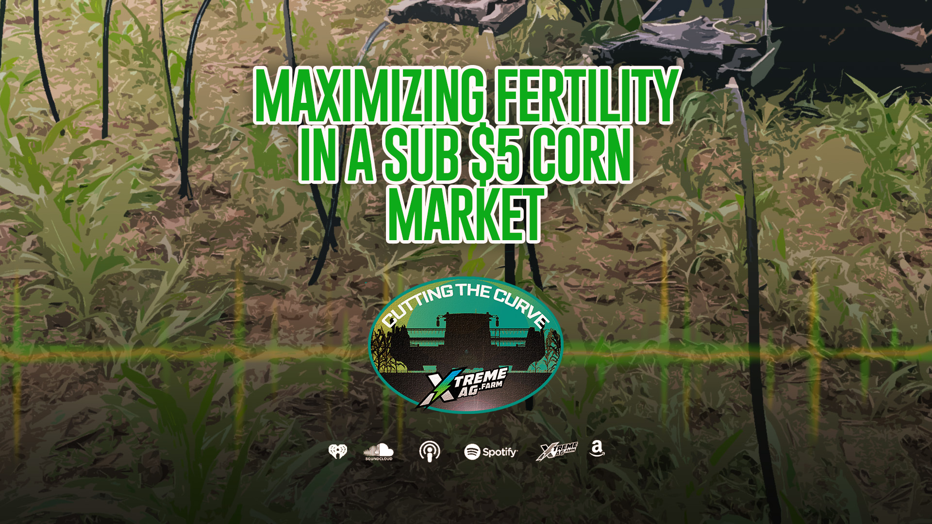 Maximizing Your Fertility Investment in a Down Corn Market