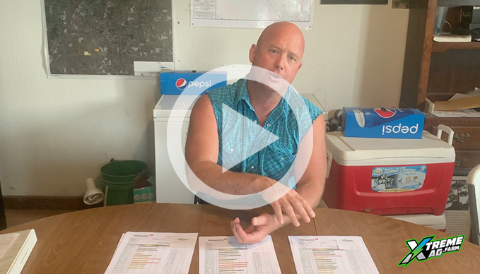 Mastering Corn Tissue Testing: Kelly's Key Insights