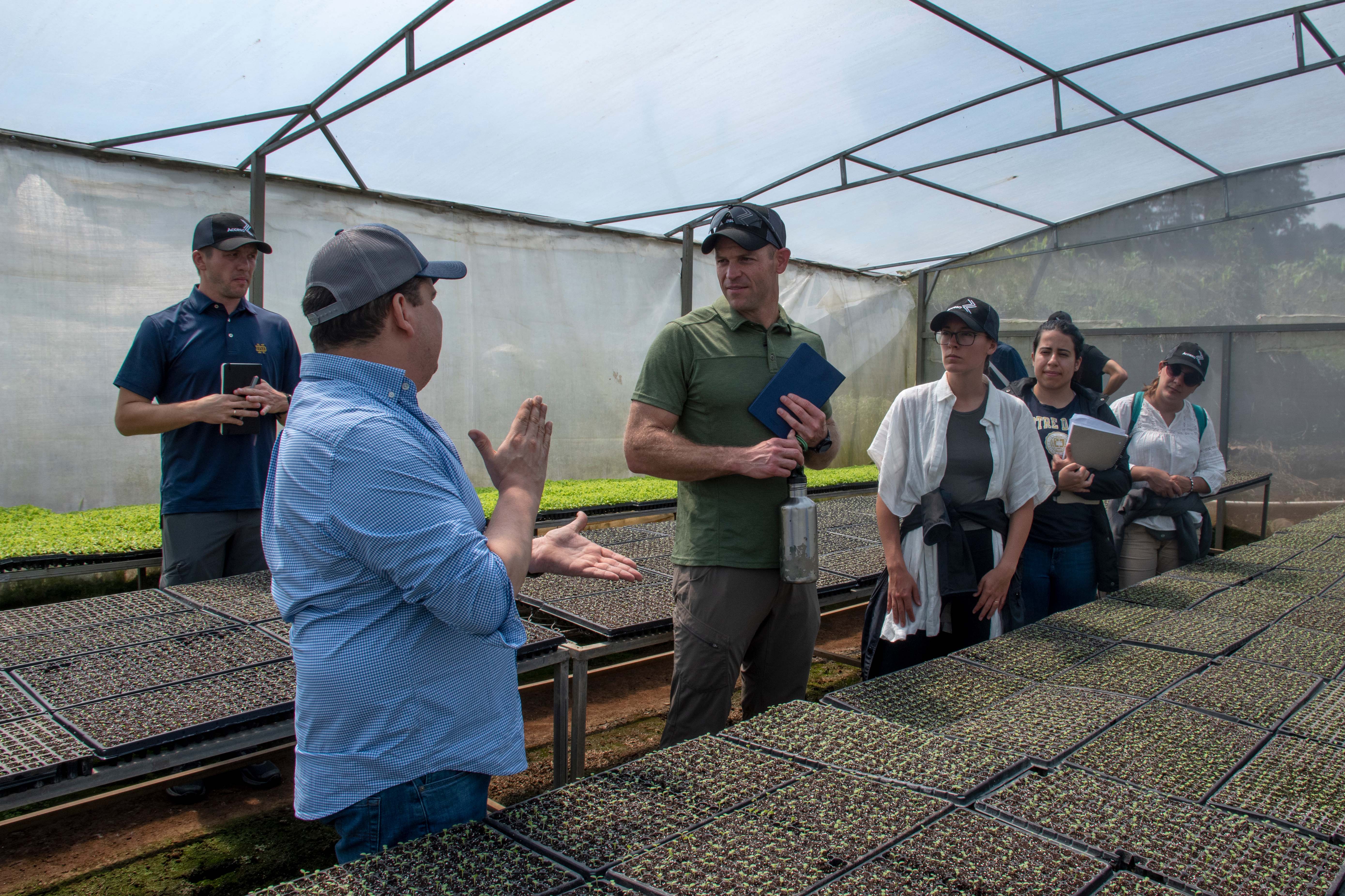 Cost Analysis of Nursery and Anchor Farm | Projects | Business On The ...