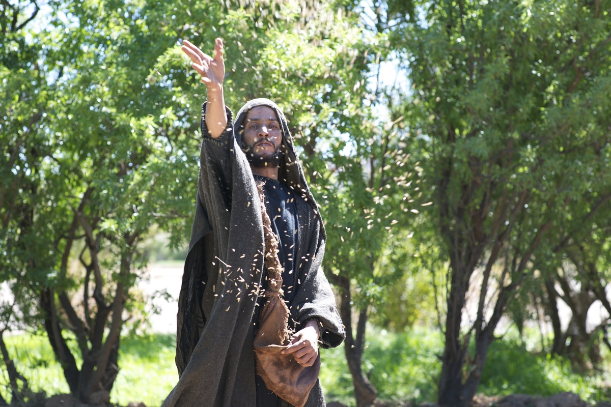 20th Sunday after Pentecost | Luke 18:9-14 | TPW
