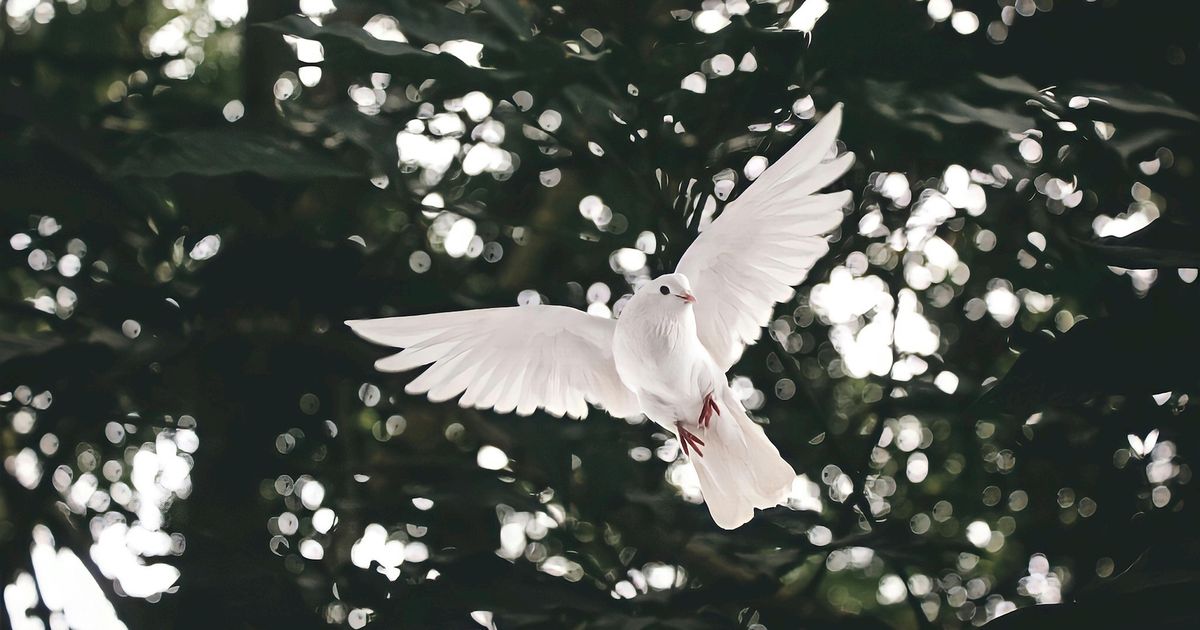 Pentecost Liturgy: Call to Worship, Prayers, and Benediction