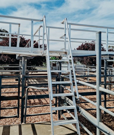Step ladders | Kattsafe