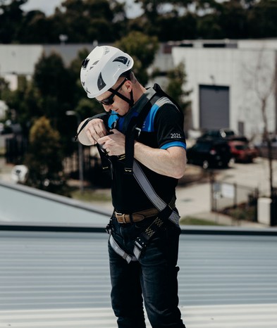 Harness gear | Kattsafe