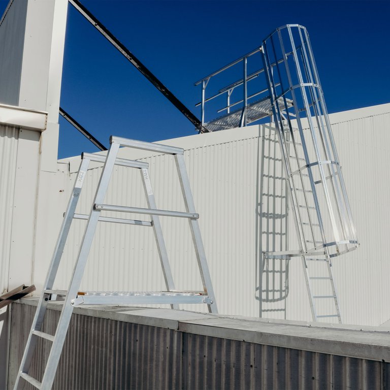 RL angled caged rung ladder | Kattsafe