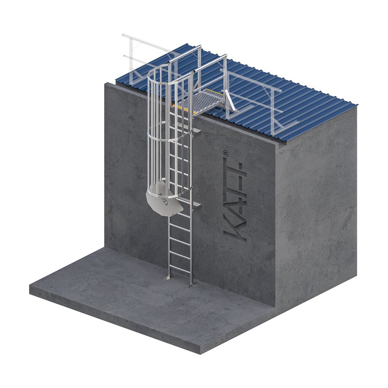 Cage Ladder | Vertical Cage, RL vertical safety, roof access ladders ...