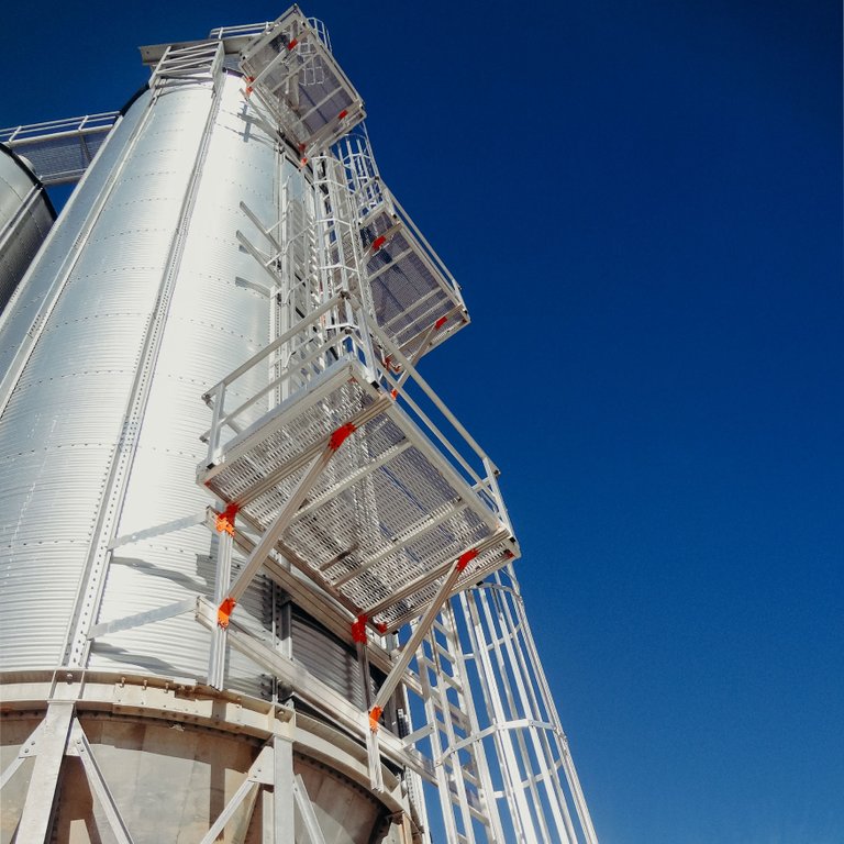 Cage Ladder | Vertical Cage, RL vertical safety, roof access ladders ...