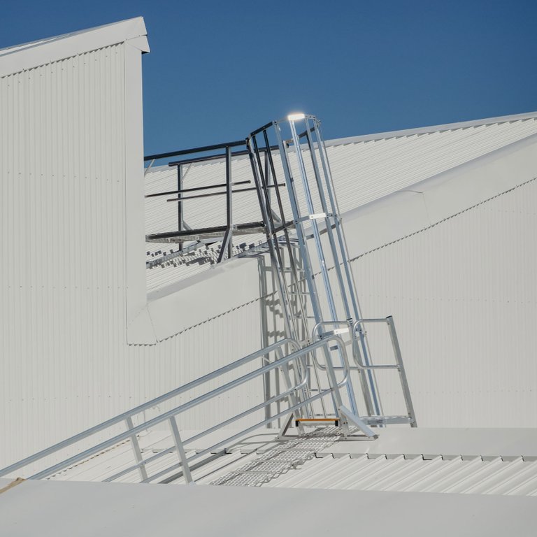 RL angled caged rung ladder | Kattsafe