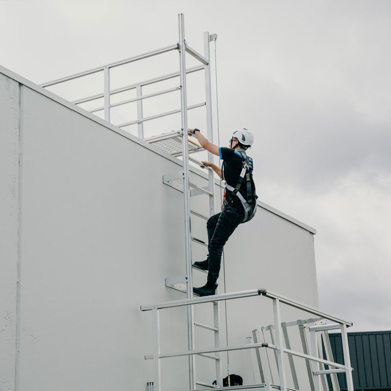 Ladder Fall Protection | RL51-Vertical-fall-arrest-rung-ladder