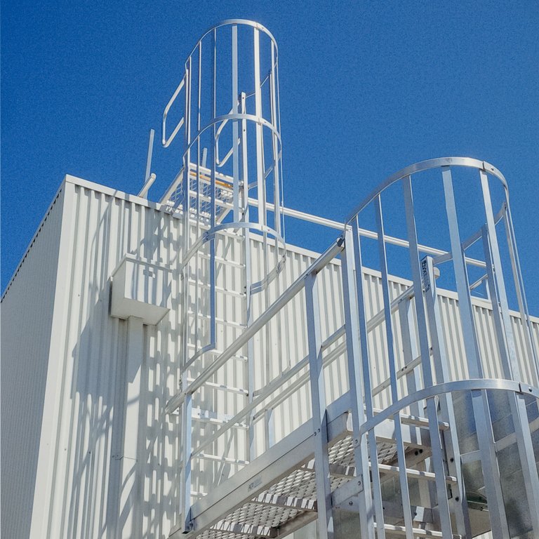 Cage Ladder | Vertical Cage, RL vertical safety, roof access ladders ...