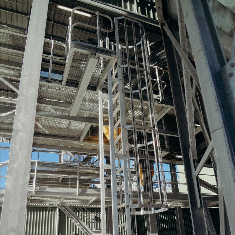 Cage Ladder | Vertical Cage, RL vertical safety, roof access ladders ...